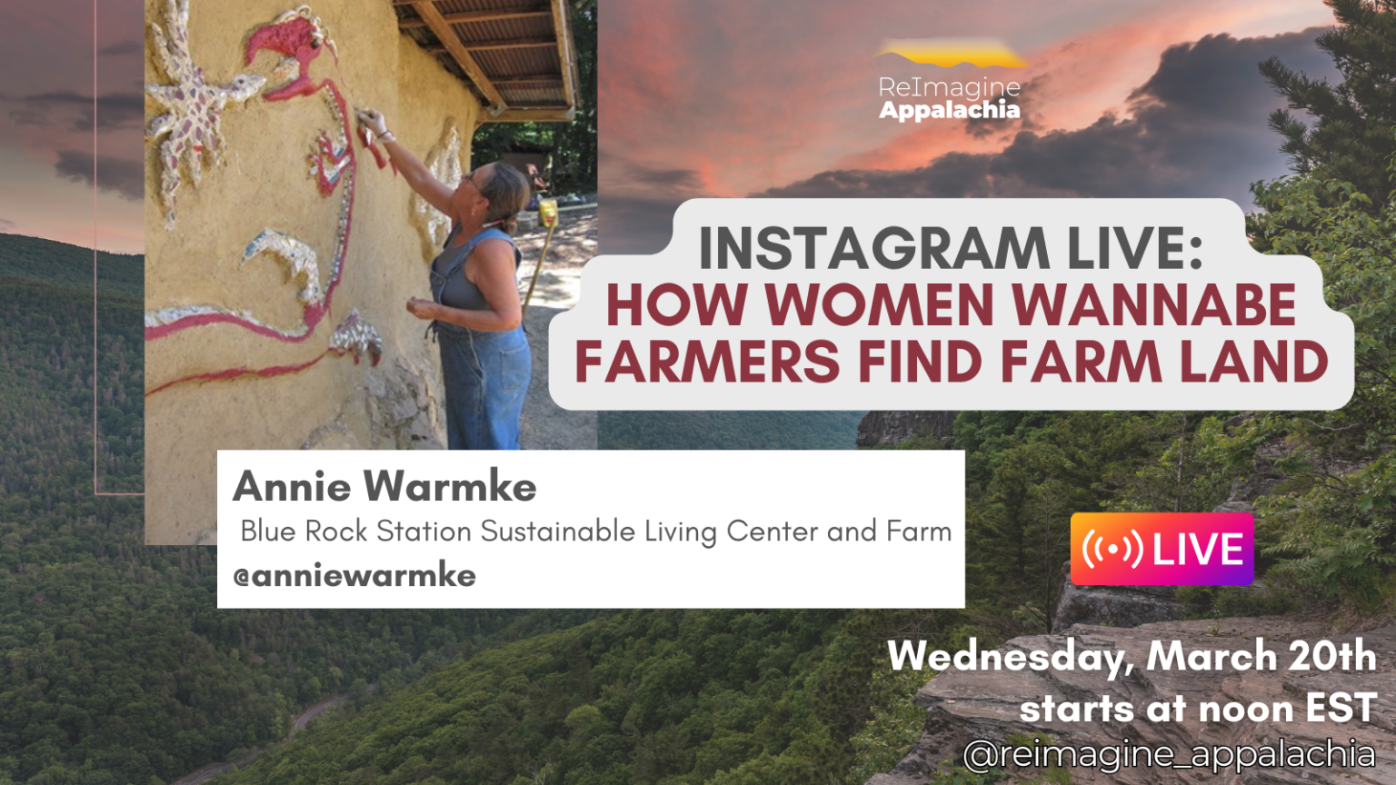 Instagram Live: How Women Wannabe Farmers Find Farm Land - ReImagine ...