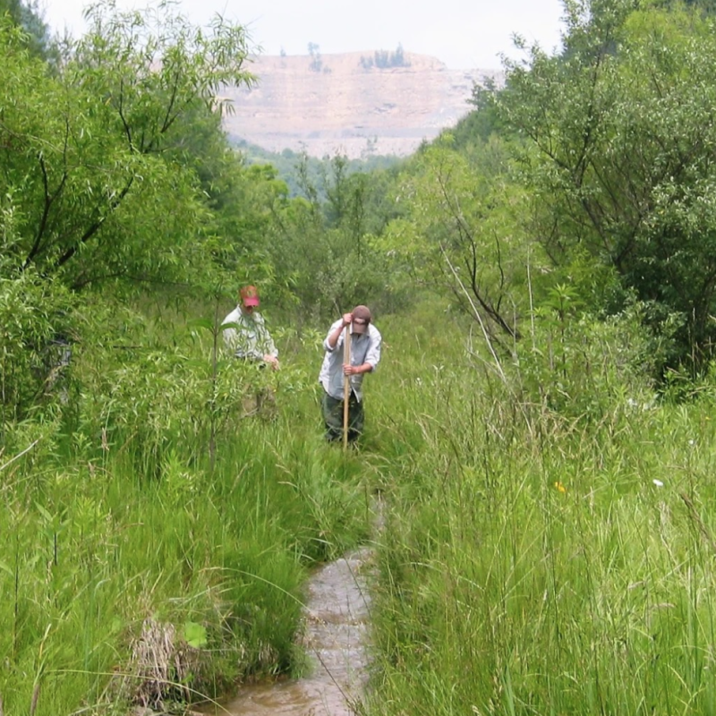 Appalachian Regional Reforestation Initiative: Virginia Tech Powell ...